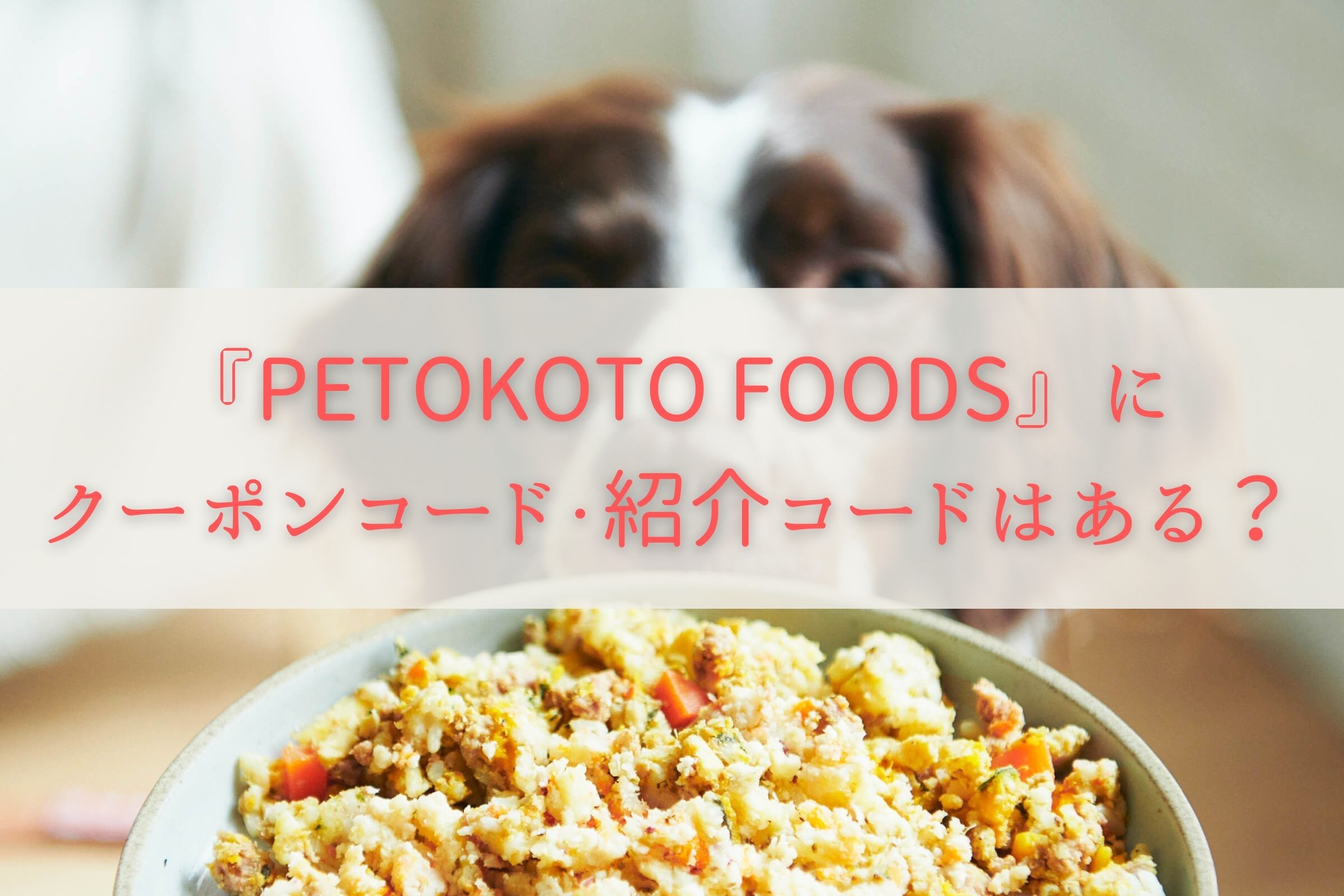 《ドッグフードのサブスク》PETOKOTO FOODSのサービス紹介【料金、口コミ・評判は？】 | がくのサブスク生活